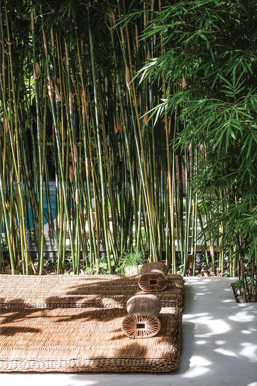 Bamboo landscaping ideas - garden design - sharingideas.me