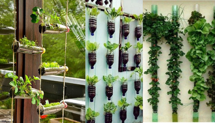 Learn how to make a vertical drip irrigation garden with plastic ...