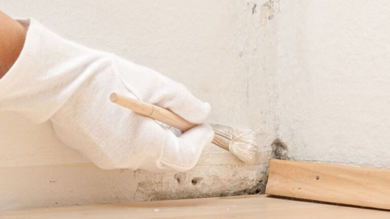 Learn how to fix a damp wall without spending a lot of money ...