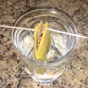 How to Plant a Mango Seed and Successfully Grow It in a Pot ...