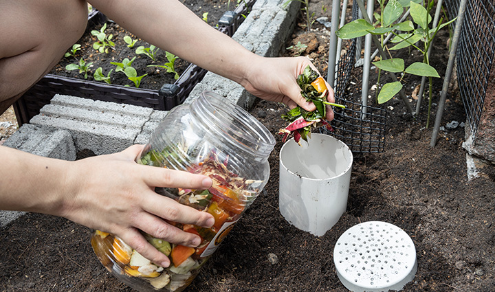 How To Make Compost At Home (100% Organic) - sharingideas.me