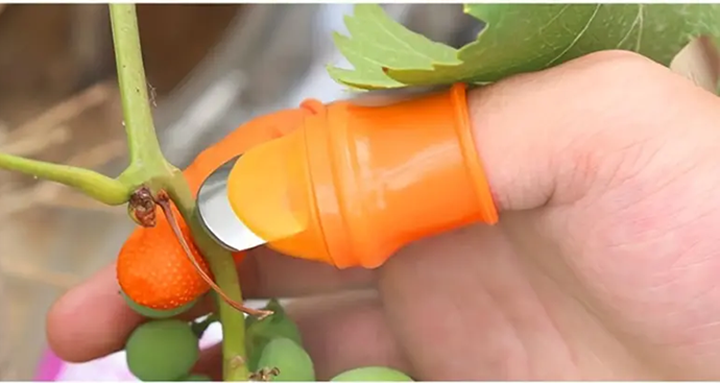 9 Products That Can Help in Your Garden - sharingideas.me