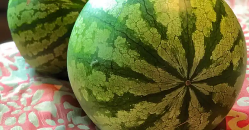 The Art of Selecting the Perfect Watermelon: A Guide to Sweetness and ...