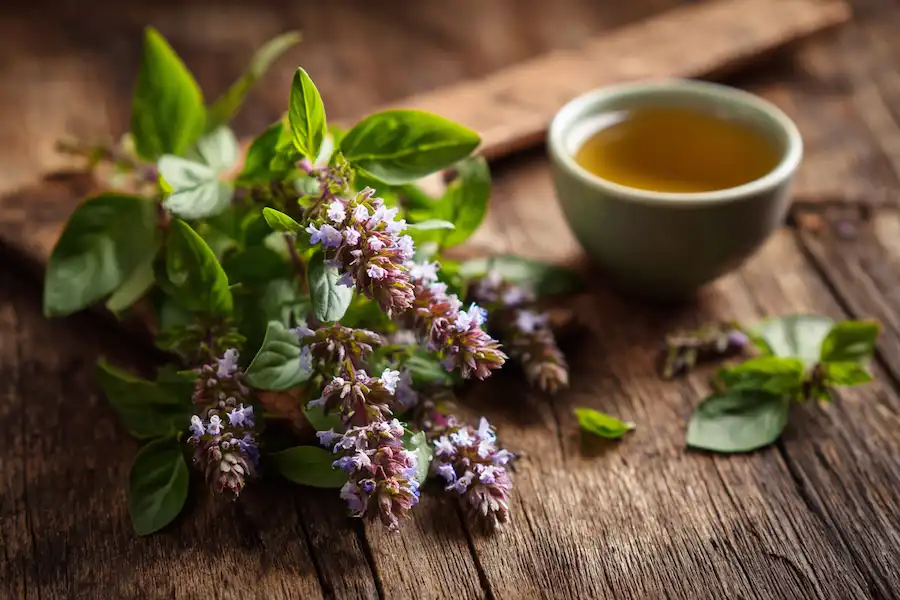 Basil Flower Power: 25 Surprising Benefits and How to Use Them at Home ...