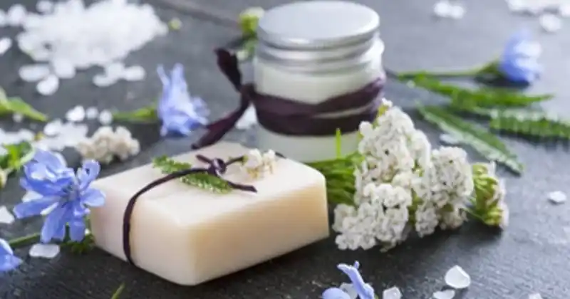 Avocado Seed Tincture: 20 Benefits and How to Use It at Home ...