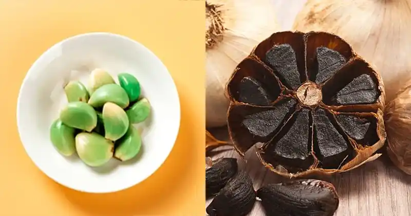 Avocado Seed Tincture: 20 Benefits and How to Use It at Home ...