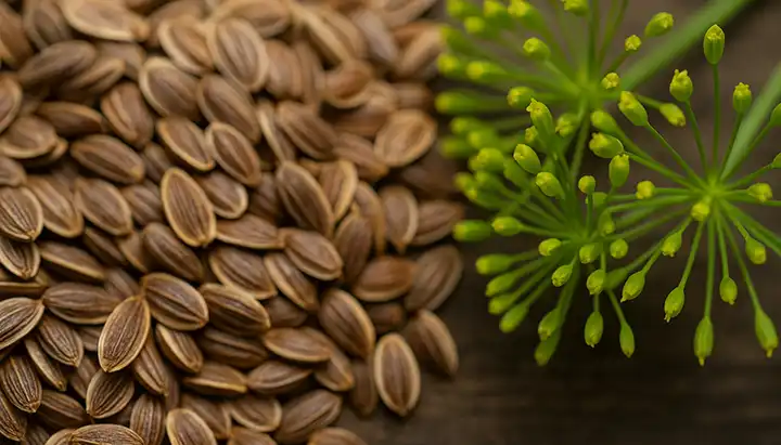 Impepho: The Sacred and Medicinal Herb of Africa - sharingideas.me